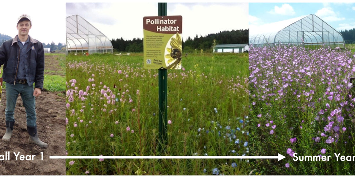 Pacific Northwest — Northwest Meadowscapes