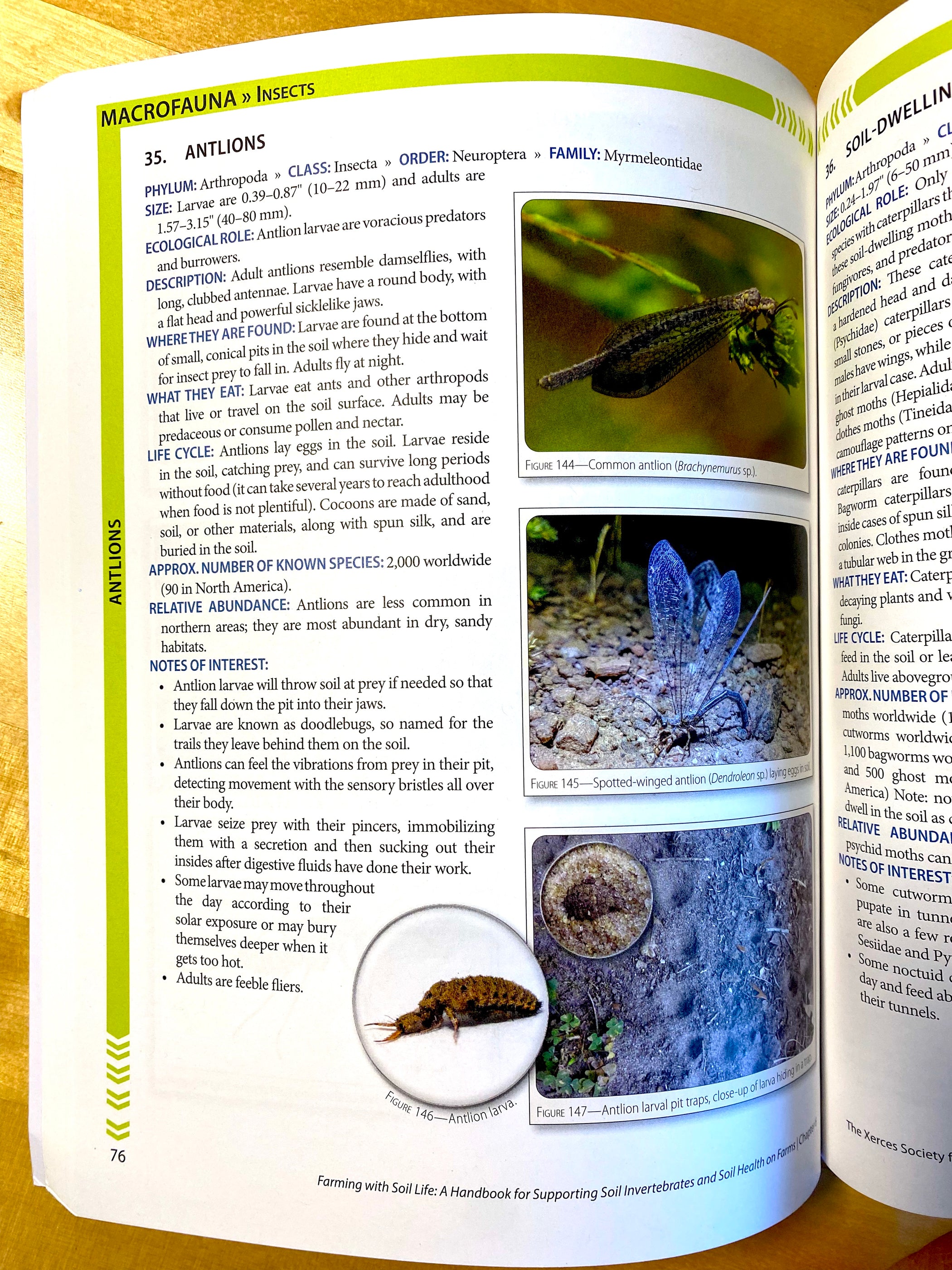 Farming with Soil Life: A Handbook for Supporting Soil Invertebrates a ...