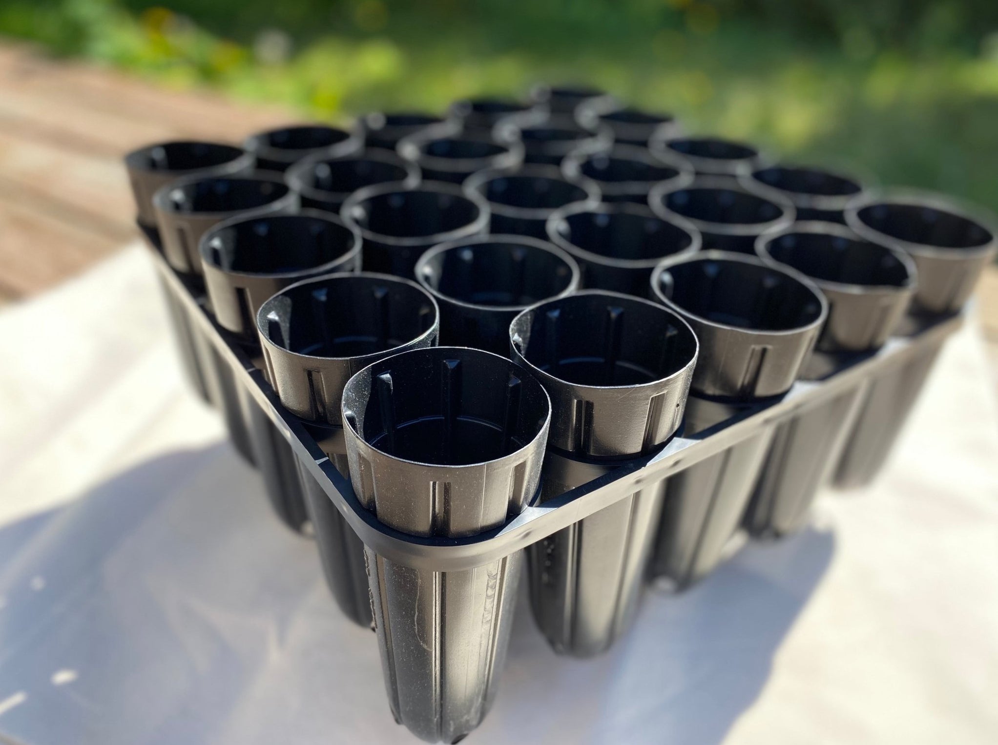 DEEPOT Native Plant Starter Kit — Northwest Meadowscapes